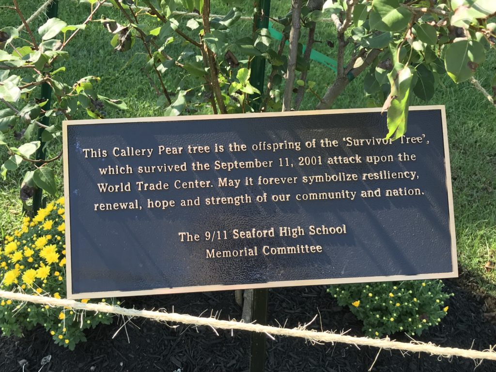 Callery Pear Tree – Seaford 9/11 Memorial Committee